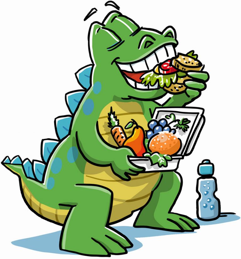 Kroko – Richtige Ernährung – Detlef Surrey